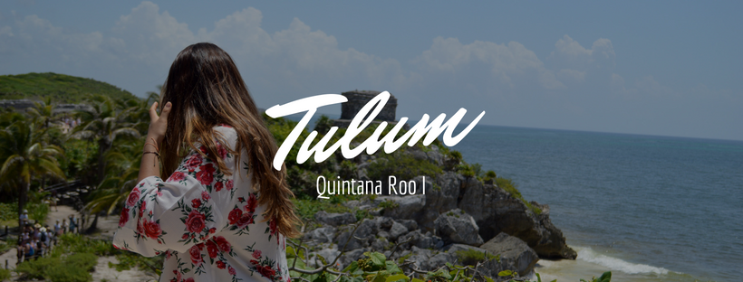 Tulum – fernanda ortega // flowers in the library